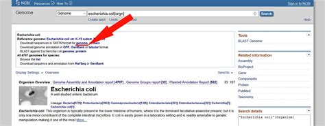 Samtools Guide Learning How To Filter And Manipulate With Sam Bam