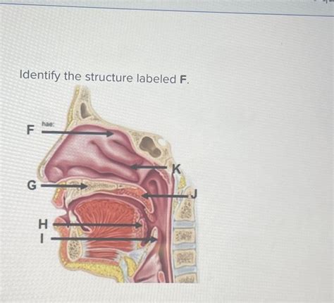 solved identify the structure labeled f