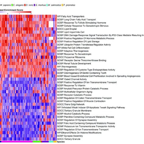 Heatmap Showing The 20 Most Significant Pathways That Are Up Regulated
