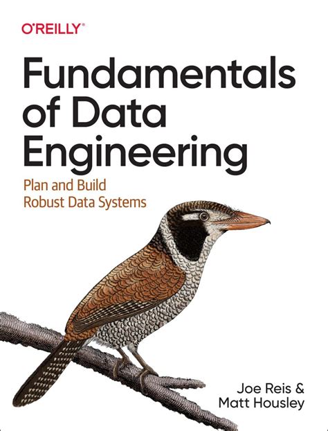 fundamentals of data engineering plan and build robust data systems