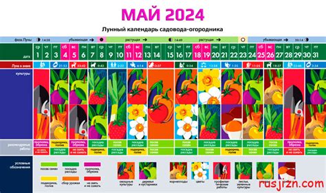 Посевной календарь на май 2024 года Таблица