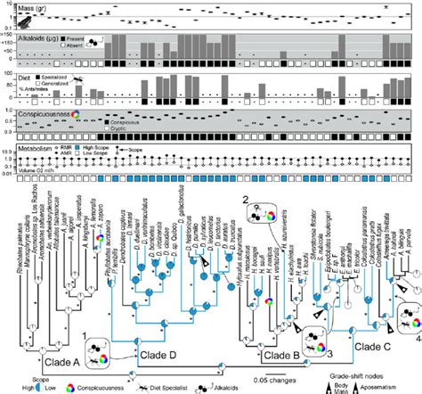 Poison Frog Phylogeny Character Reconstructions Grade Shifts And