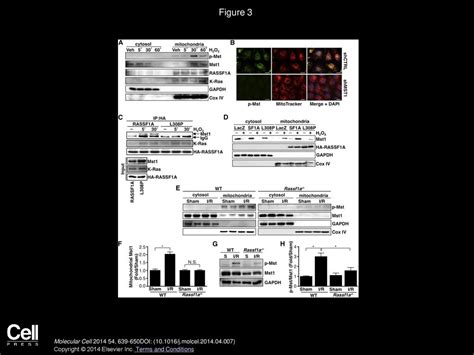 Volume 54 Issue 4 Pages May 2014 Ppt Download