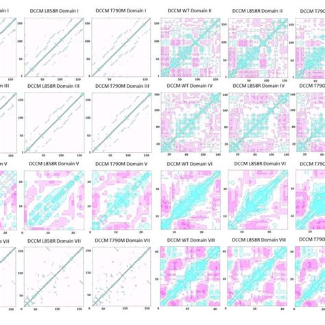 dynamic cross correlation maps dccm of 8 domains of egfr and its