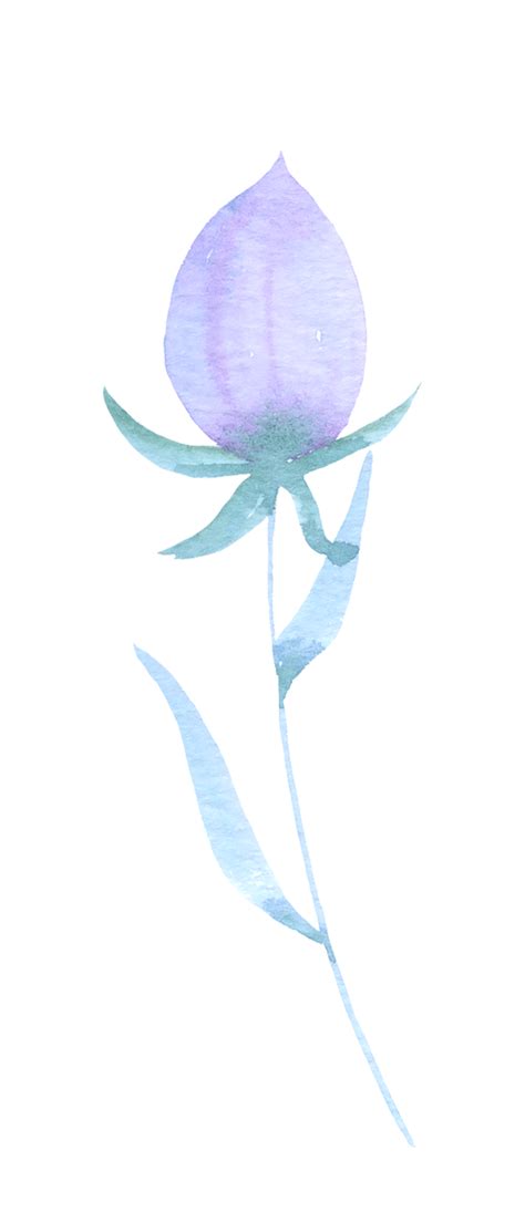 Violet Flower Watercolor Wedding Flower 10221264 Png