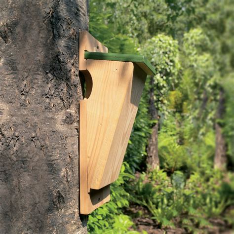 Treecreeper Nest Box Slim Bird Box Design