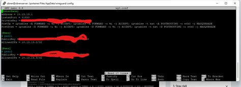 Wireguard Clients Not Getting A Default Gateway WireGuard