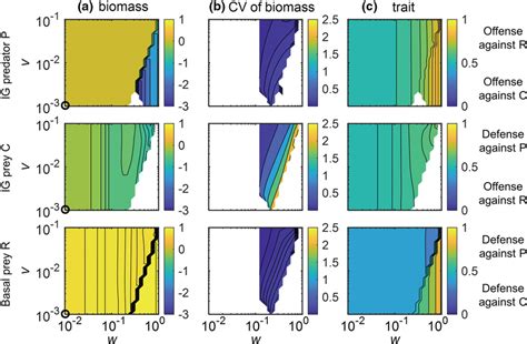 Effects Of The Width W And The Speed V Of Trait Adaptation On The