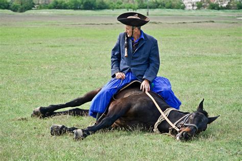 말 타는 사람 데모 Pixabay의 무료 사진 Pixabay