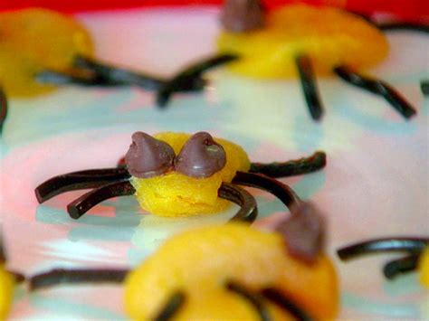 Chocolate Apricot Bugs Recipe Chefs Resource Recipes