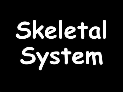 Skeletal System Powerpoint Relates To The Muscular System Ppt