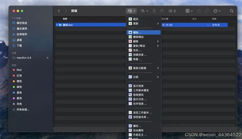 mac版svn客户端 macsvn 下载、使用指南【保姆级教程】 macsvn客户端怎么用 csdn博客