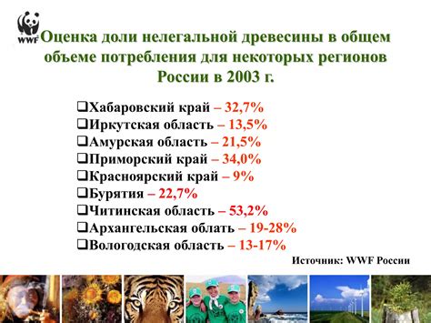 Illegal Logging1 Ppt