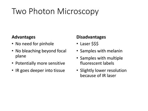 Biology 177 Principles Of Modern Microscopy Ppt Download