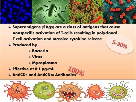 Superantigen Pptx