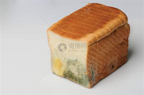 在灰色背景上隔离的高清图片下载 正版图片504281487 摄图网