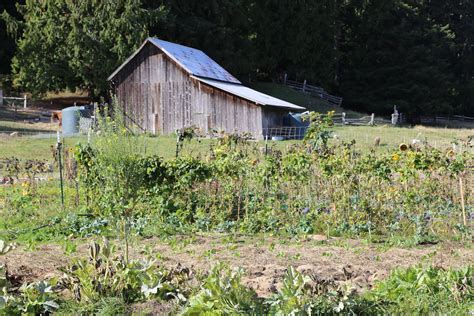 Savor The San Juans Orcas Island Farm Tour — Finding The Extraordinary