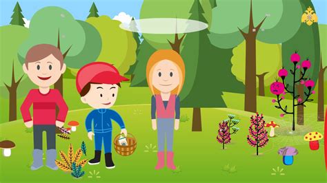 Правила Безопасности В Лесу Картинки — Фото Картинки