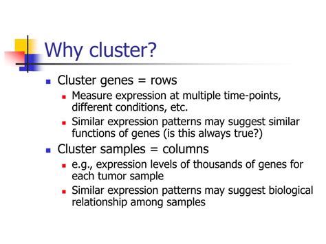 PPT Clustering PowerPoint Presentation Free Download ID