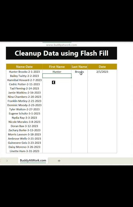 Quickly Clean Up Data Using Excels Flash Fill Excel Tips And Tricks