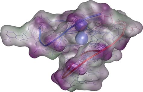 Amoeba Polarizable Molecular Dynamics Simulations Of Guanine Quadruplexes From The C Kit Proto