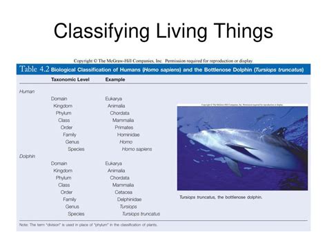 Fundamentals Of Biology Chapter 4 Ppt Download