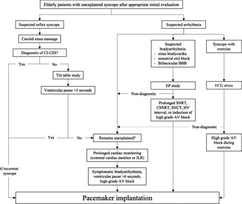 Overview Of Decision Pathway To Pacemaker Implantation In Elderly Download Scientific Diagram