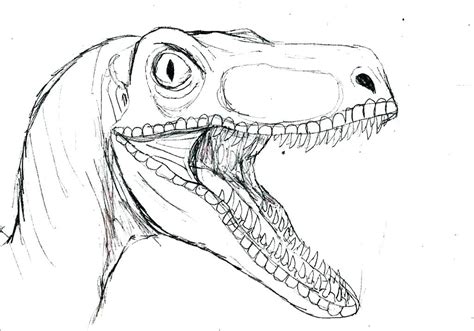 Jurassic World Blue Raptor Coloring Pages At Nathaniel Birge Blog