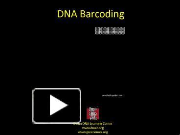 DNA Barcoding Presentation Free To Download