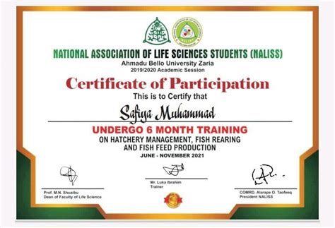 Safiya Muhammad Posted On Linkedin