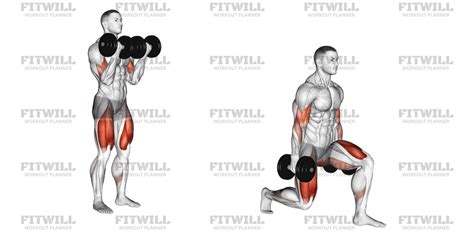 Dumbbell Bicep Curl Lunge With Bowling Motion Exercise Guide Techniques Benefits How To