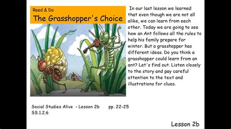 The Grasshoppers Choice Youtube