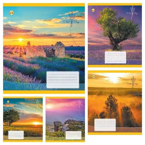 Зошит в клітинку 48 аркушів тверда кольорова обкладинка дизайн Природа Тетрада Te31504