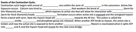 Events Of The Contraction Cycle
