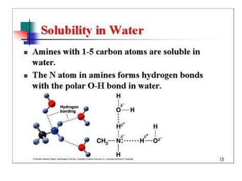 Ppt Amines Powerpoint Presentation Free Download Id149487