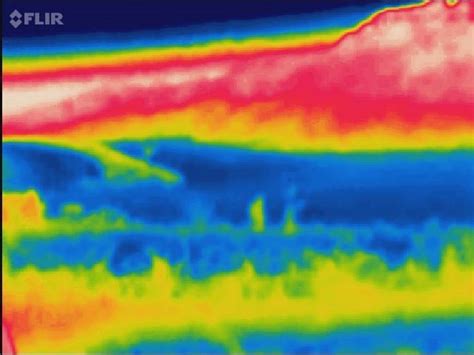 Investigation Help Sasquatch Chronicles