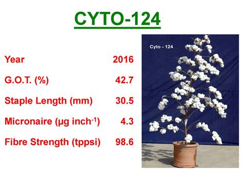 Cotton Varieties