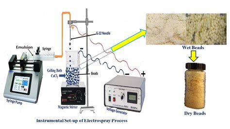 Synthesis Of Black Seed Oil Loaded Alginate Based Ph Sensitive Beads Using Electrospraying