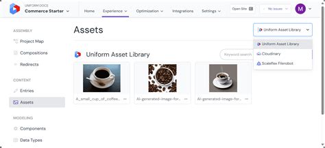 asset library uniform dxp documentation