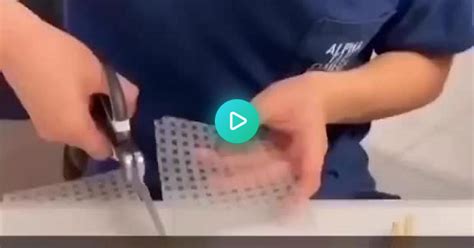 Rolling Spring Rolls Album On Imgur