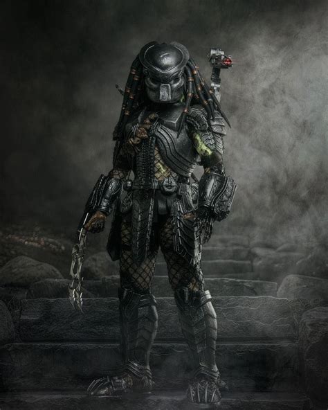 Jason Hahn On Instagram Predator😳 Photooftheday Predator