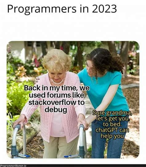 programmers in 2023 r chatgpt