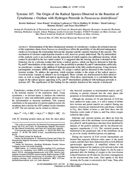 Pdf Tyrosine 167 The Origin Of The Radical Species Observed In The Reaction Of Cytochrome C