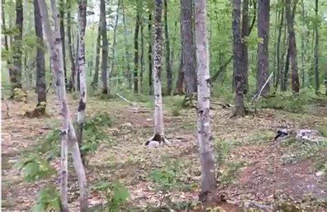 It Used To Be 1 But Now Its The 2nd Highest Point In Michigan