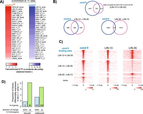 Condensin Ii Binding Overlaps With Transcription Factors Non Randomly