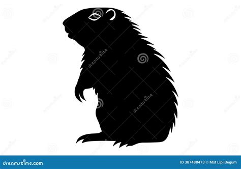 Groundhog Silhouette Design Groundhog Black Vector Design Groundhog Marmot Silhouette Stock