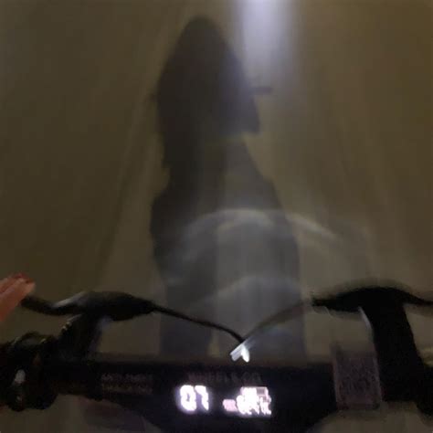 Lauren Jauregui Updates