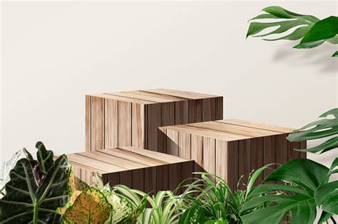 자연 녹색 잎 관상용 식물과 나무 연단 제품 디스플레이 디자인 작업을위한 갈색 배경 클리핑 경로에 고립 빈 여유 공간 모의 프리젠 테이션 0명에 대한 스톡 사진 및 기타