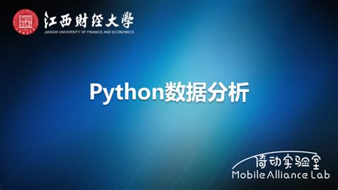 Python程序设计 202统计 Python程序设计 202统计