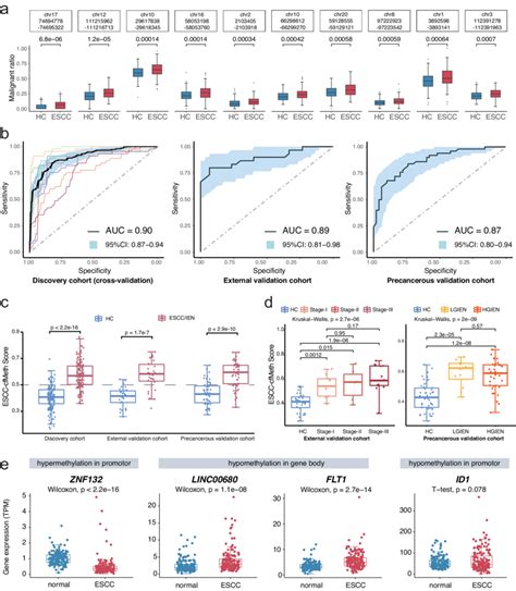 Cell Free Dna Methylation Markers And Their Detection Performance For Download Scientific